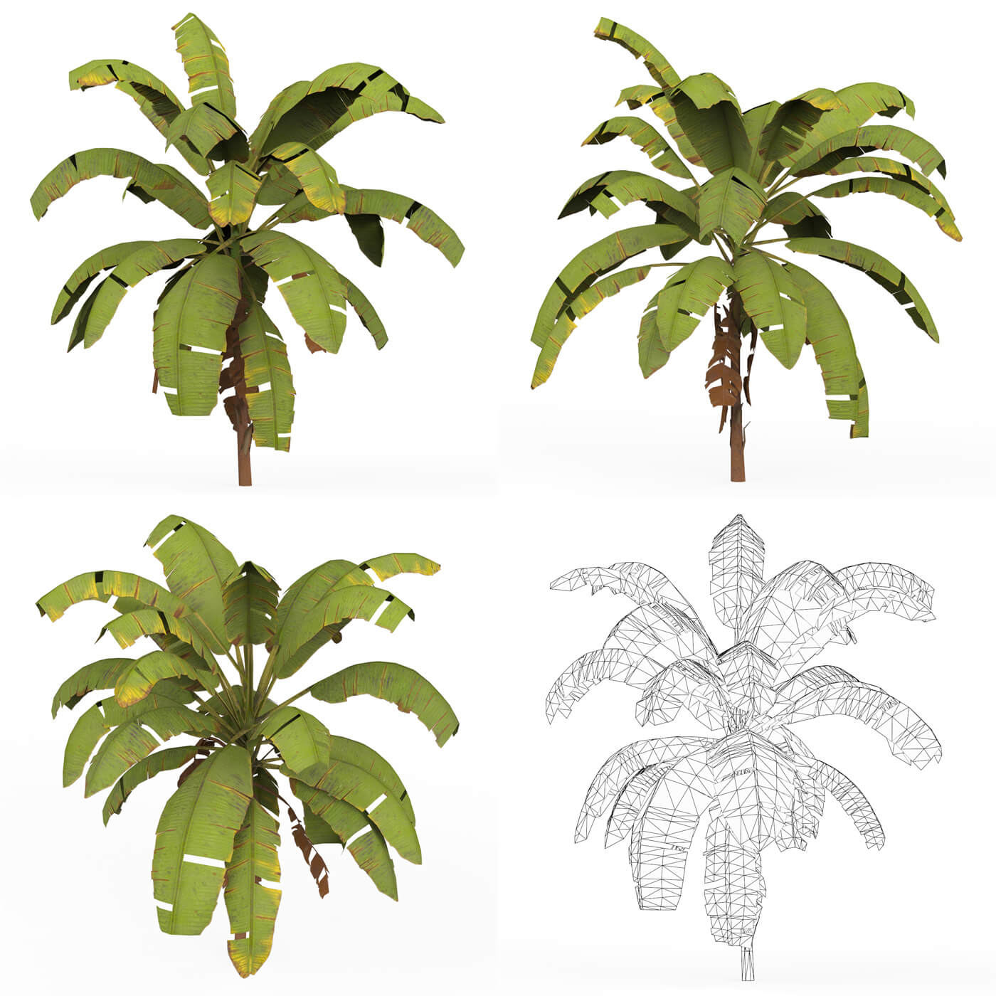 32 Realistic Low Poly Tree Collection - 3D Model by TreeWorld3d