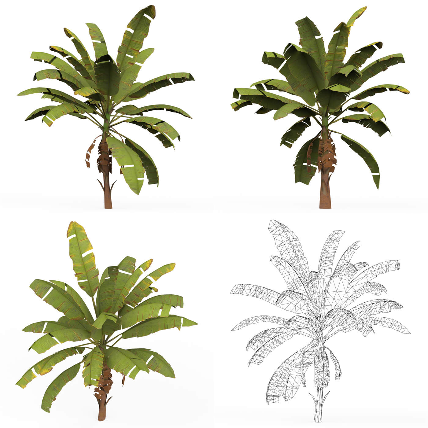 32 Realistic Low Poly Tree Collection - 3D Model by TreeWorld3d