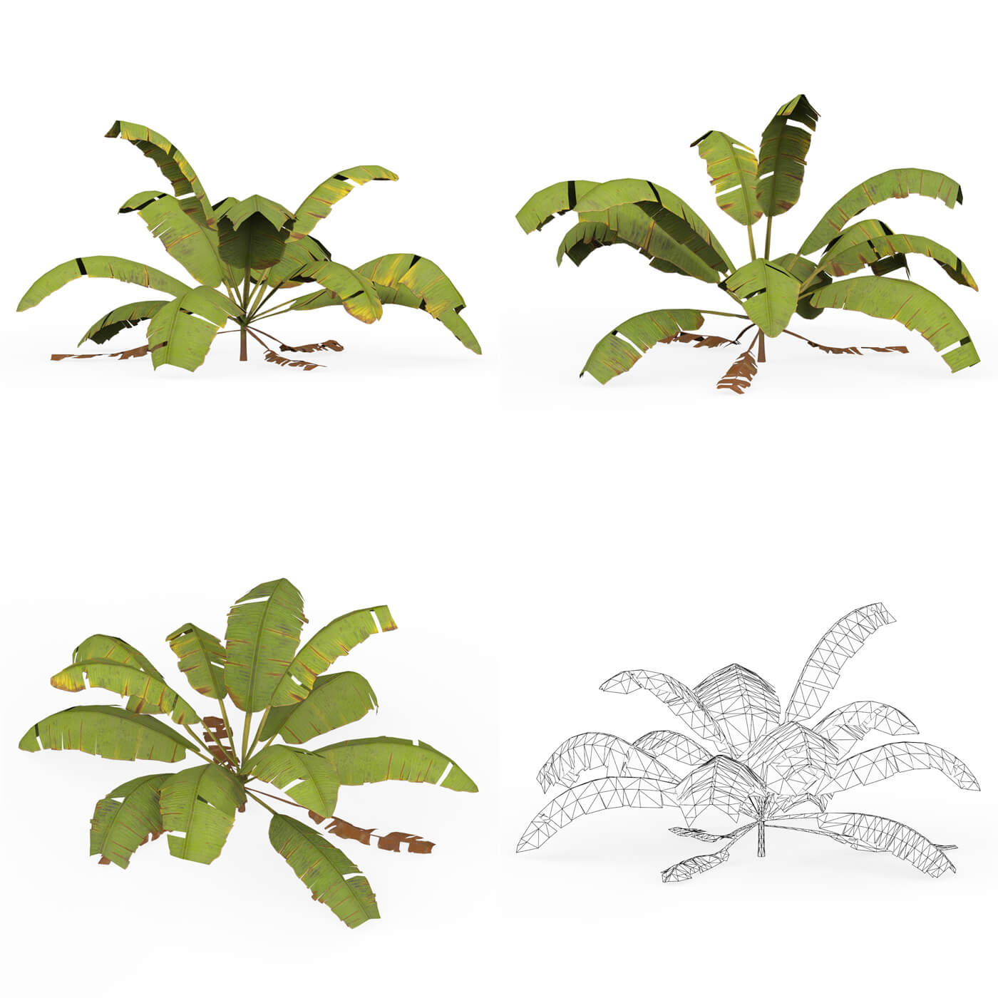 32 Realistic Low Poly Tree Collection - 3D Model by TreeWorld3d