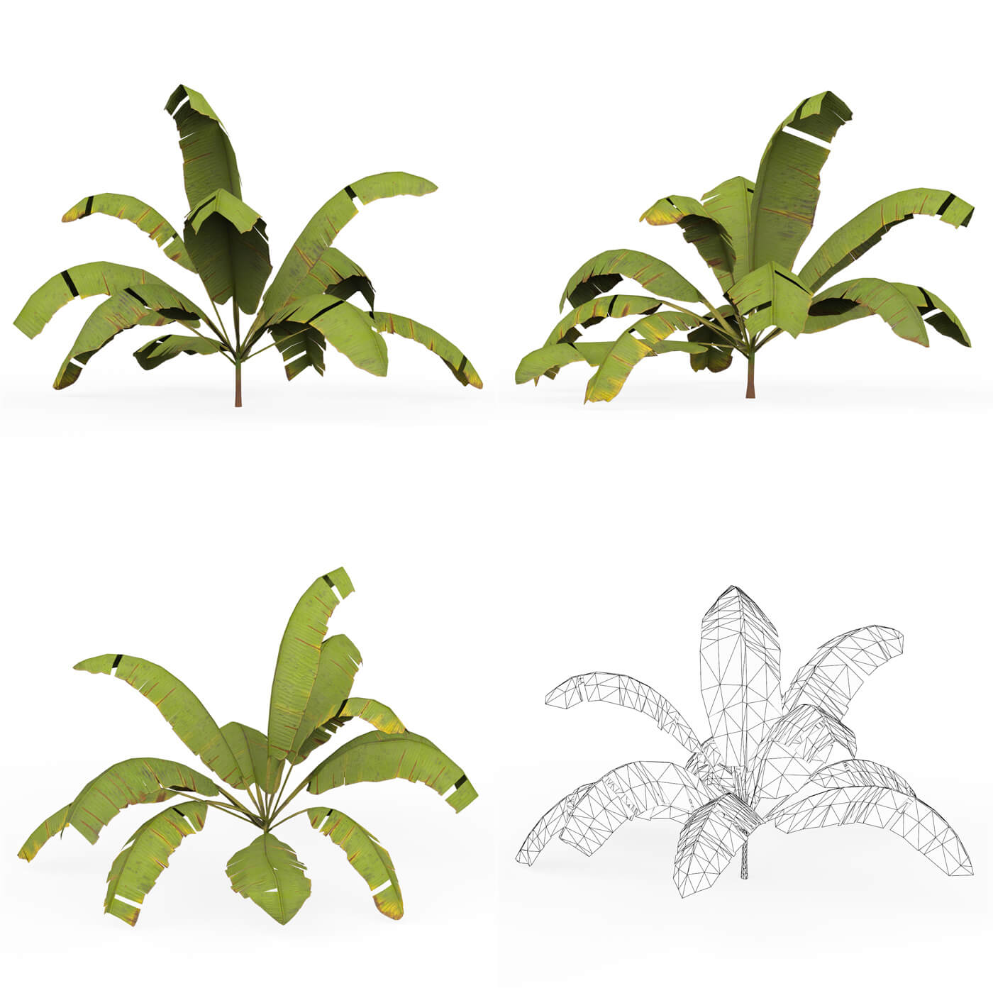 32 Realistic Low Poly Tree Collection - 3D Model by TreeWorld3d