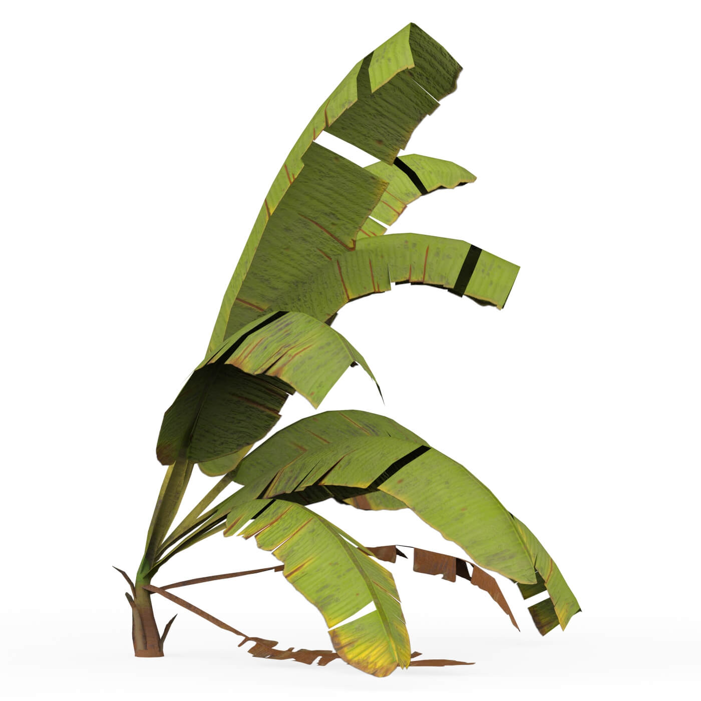 32 Realistic Low Poly Tree Collection - 3D Model by TreeWorld3d