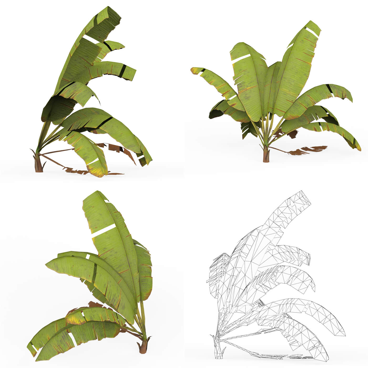 32 Realistic Low Poly Tree Collection - 3D Model by TreeWorld3d