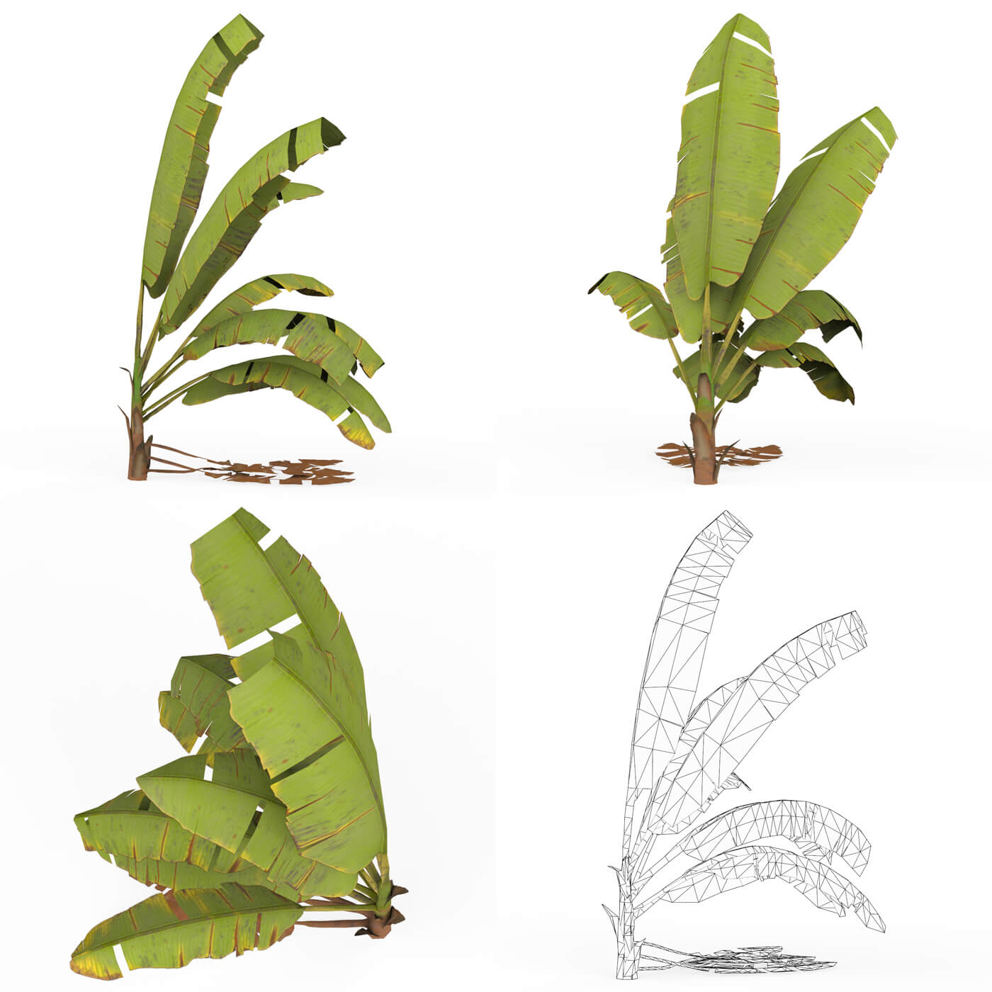 32 Realistic Low Poly Tree Collection - 3D Model by TreeWorld3d