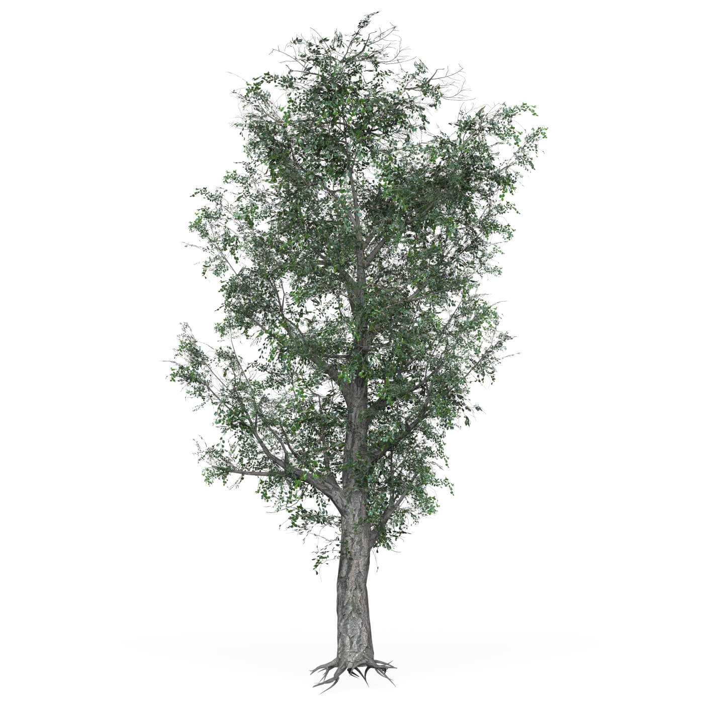 32 Realistic Low Poly Tree Collection - 3D Model by TreeWorld3d