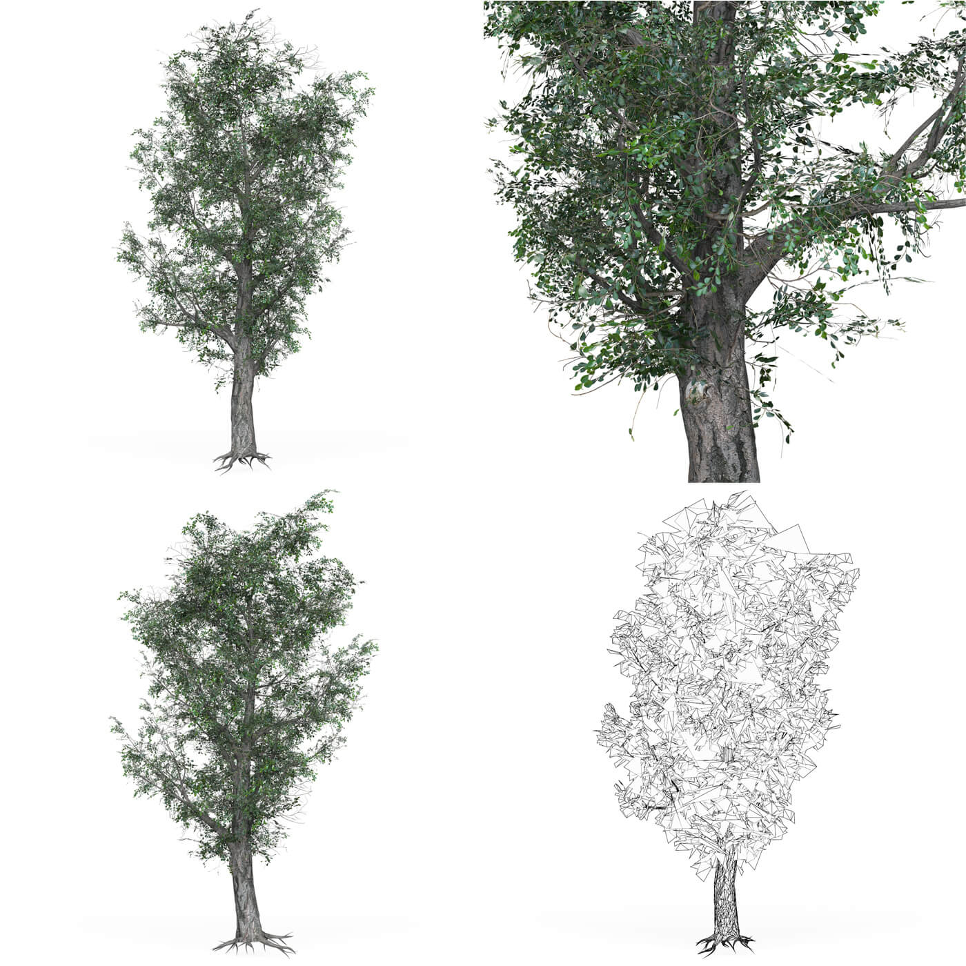 32 Realistic Low Poly Tree Collection - 3D Model by TreeWorld3d