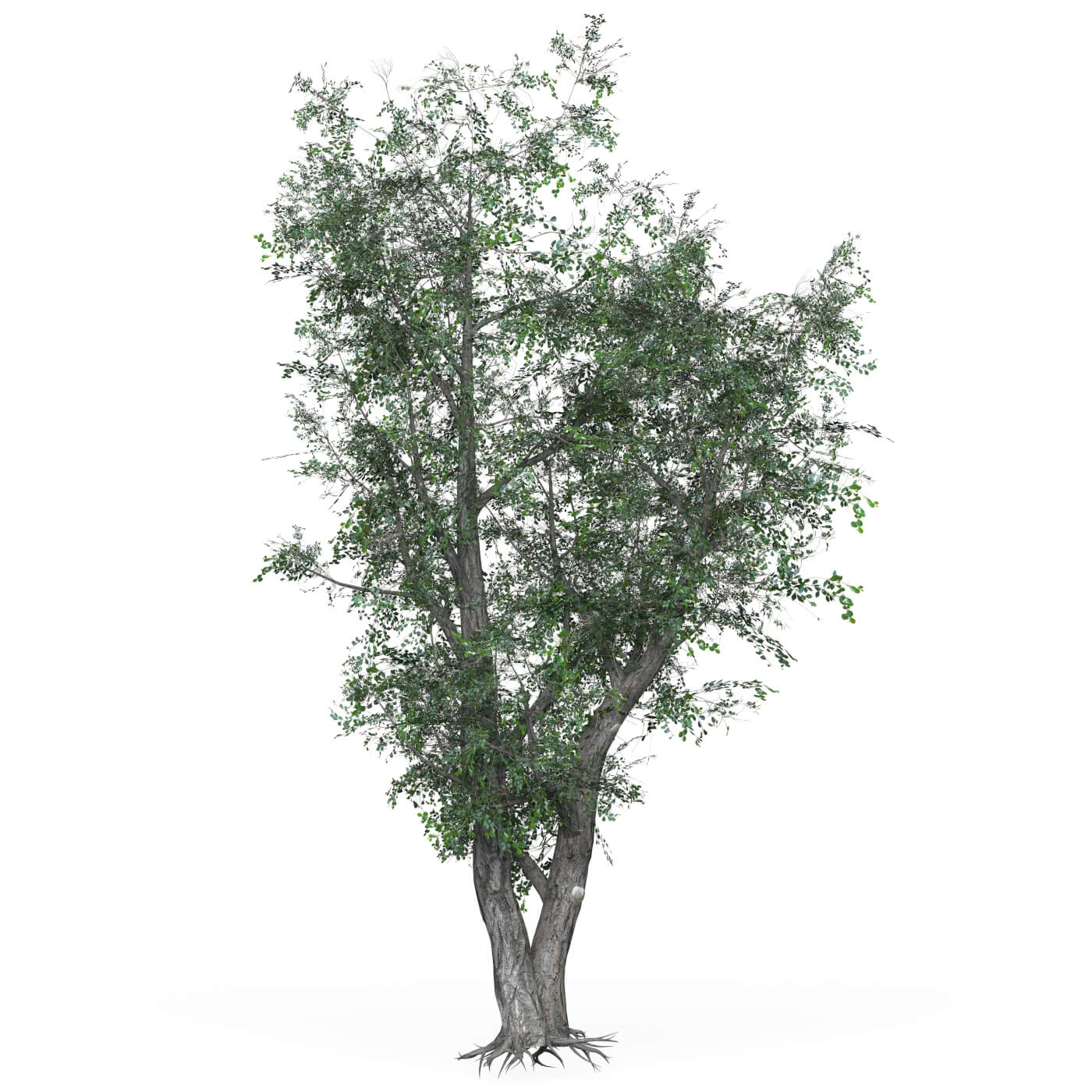 32 Realistic Low Poly Tree Collection - 3D Model by TreeWorld3d