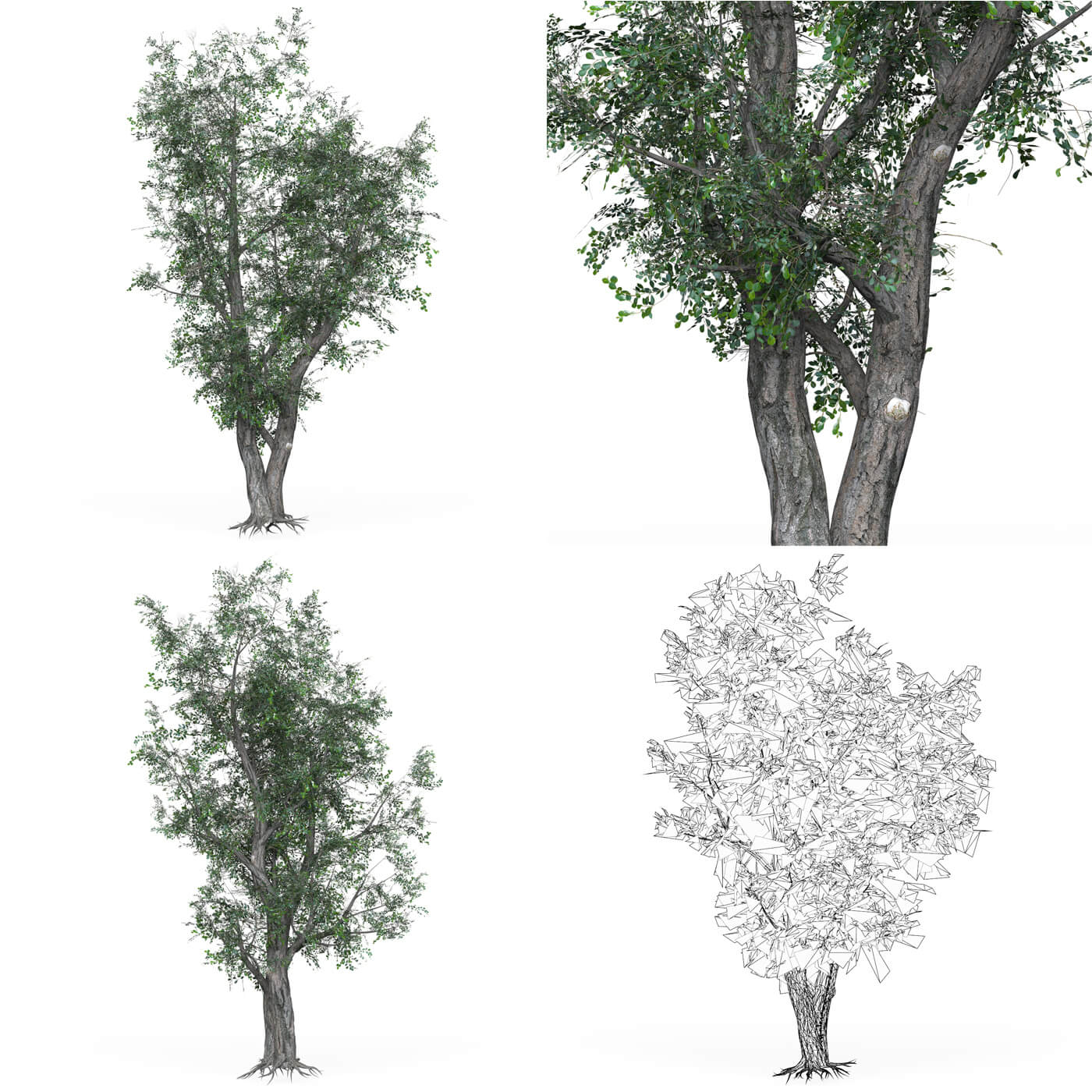 32 Realistic Low Poly Tree Collection - 3D Model by TreeWorld3d