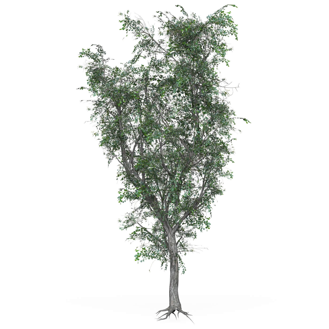 32 Realistic Low Poly Tree Collection - 3D Model by TreeWorld3d
