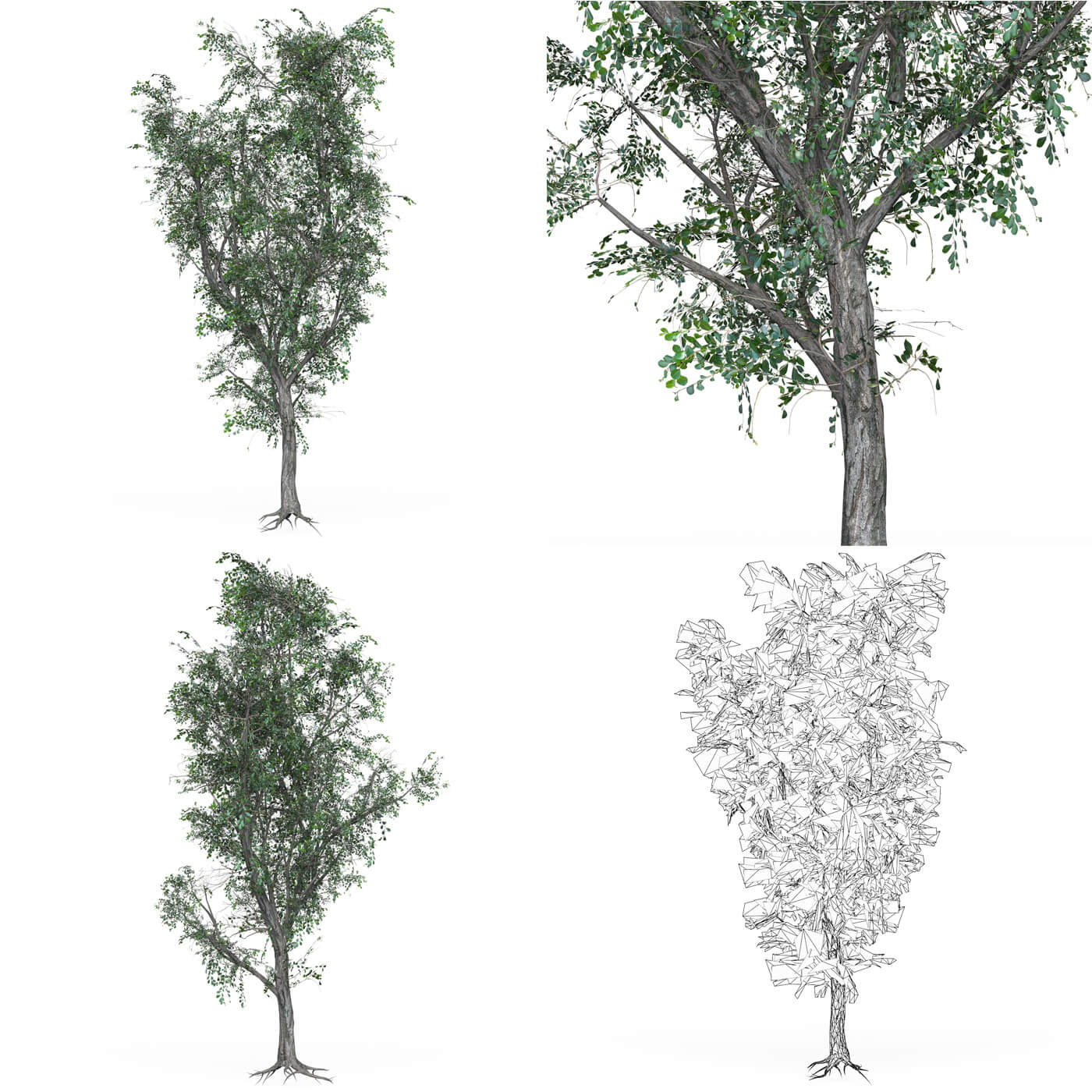 32 Realistic Low Poly Tree Collection - 3D Model by TreeWorld3d