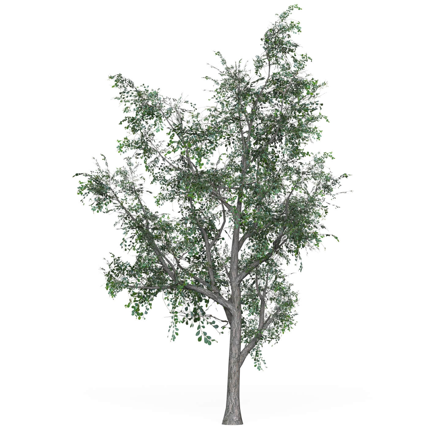 32 Realistic Low Poly Tree Collection - 3D Model by TreeWorld3d