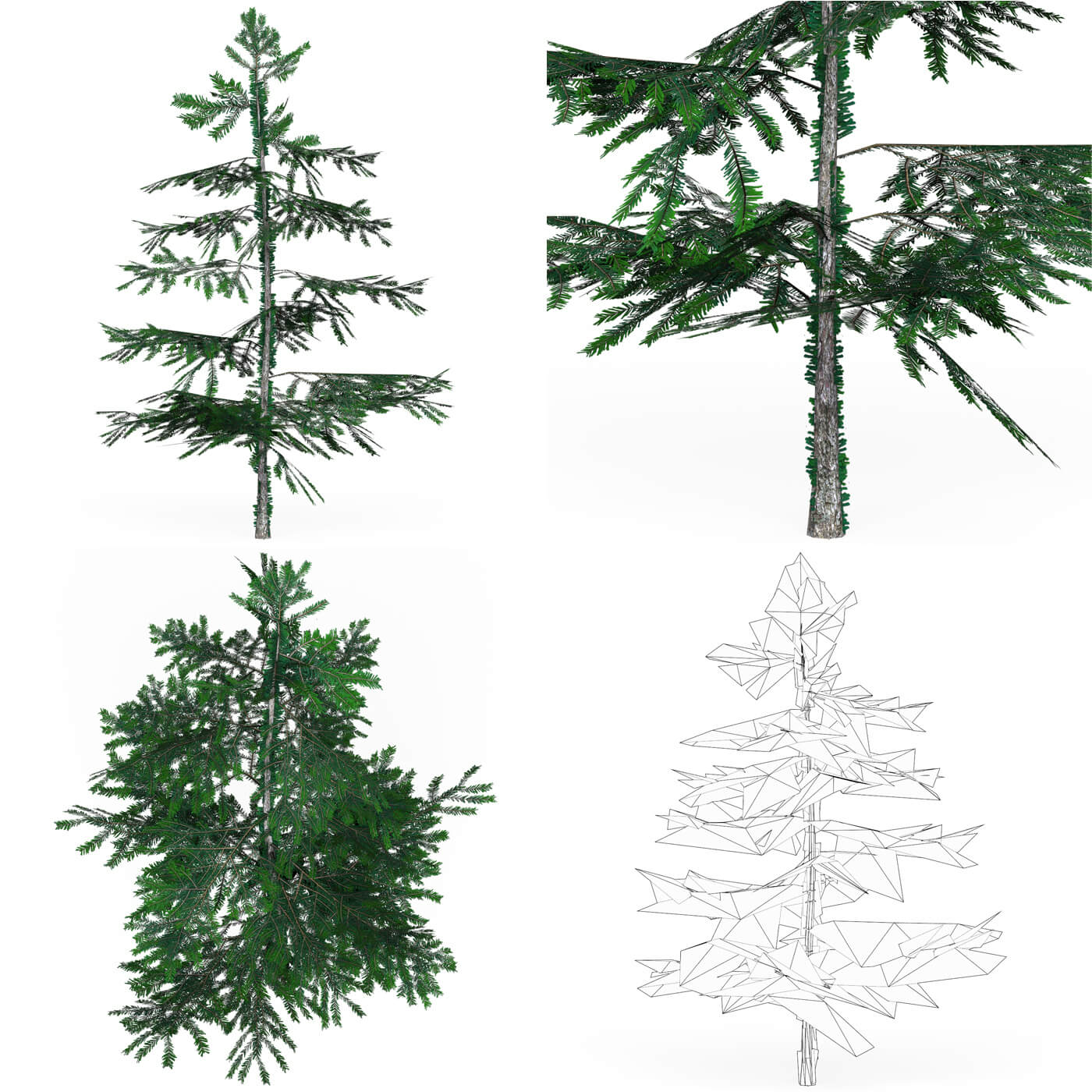 32 Realistic Low Poly Tree Collection - 3D Model by TreeWorld3d