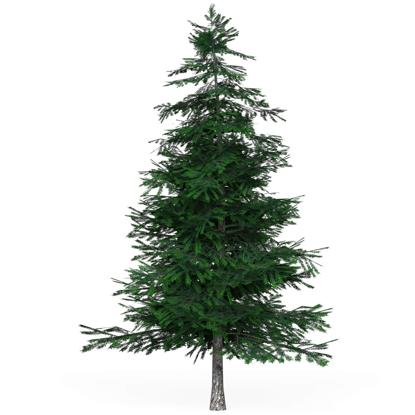 32 Realistic Low Poly Tree Collection - 3D Model by TreeWorld3d