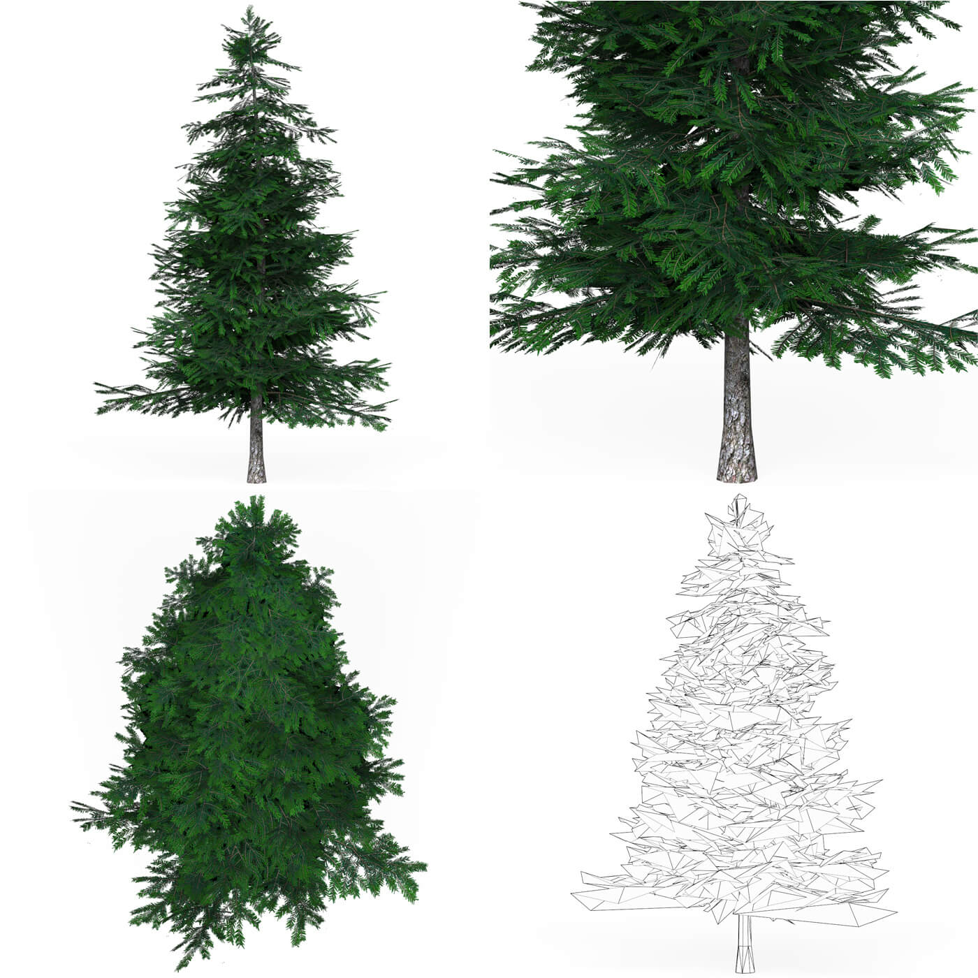 32 Realistic Low Poly Tree Collection - 3D Model by TreeWorld3d