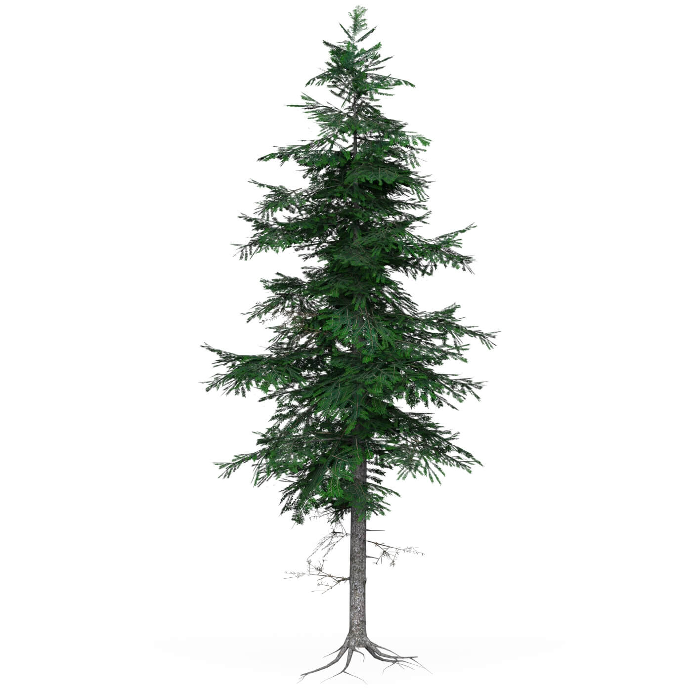32 Realistic Low Poly Tree Collection - 3D Model by TreeWorld3d