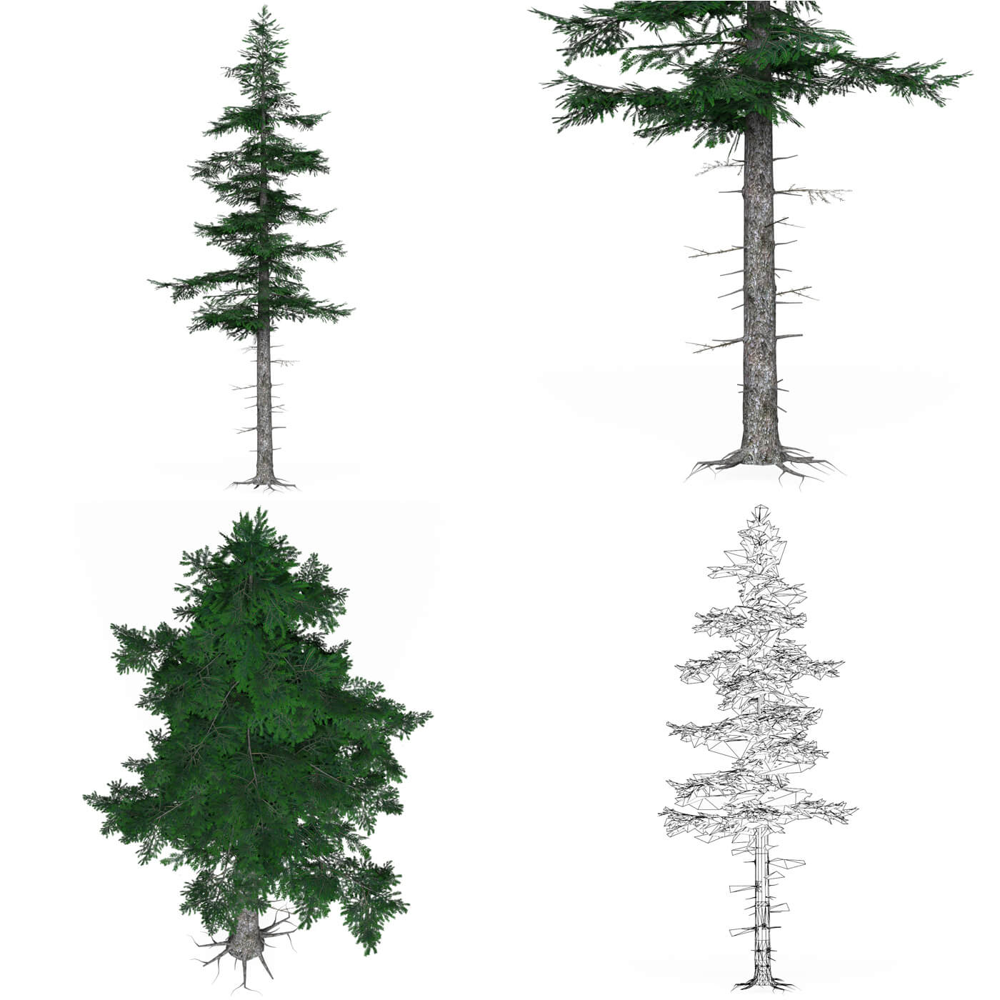 32 Realistic Low Poly Tree Collection - 3D Model by TreeWorld3d