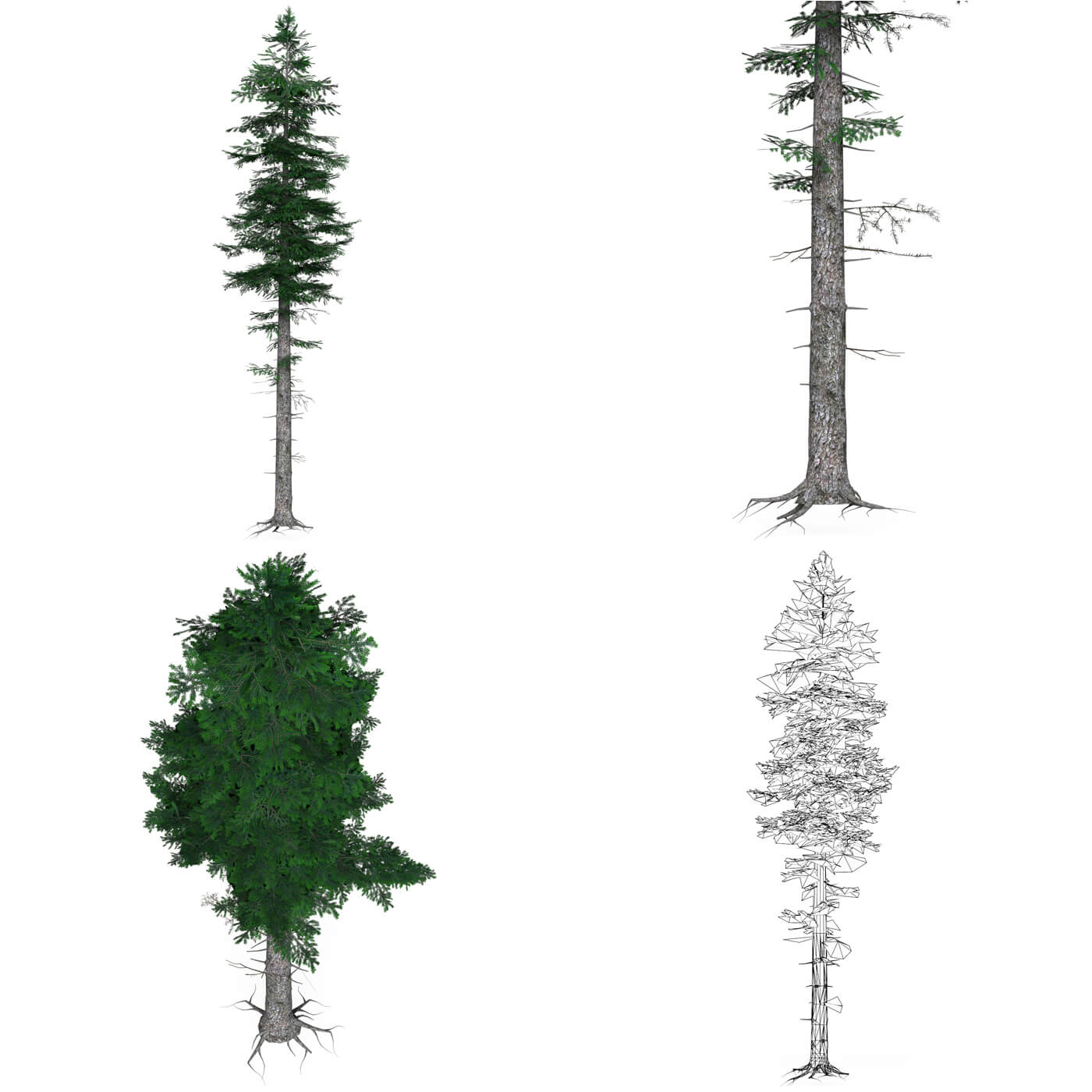 32 Realistic Low Poly Tree Collection - 3D Model by TreeWorld3d