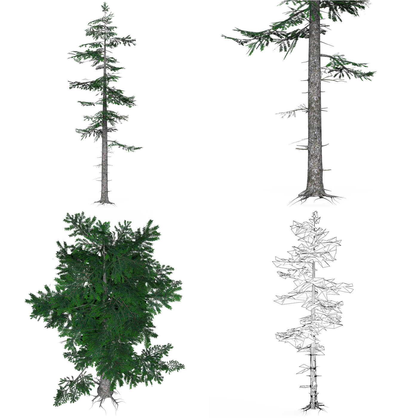 32 Realistic Low Poly Tree Collection - 3D Model by TreeWorld3d