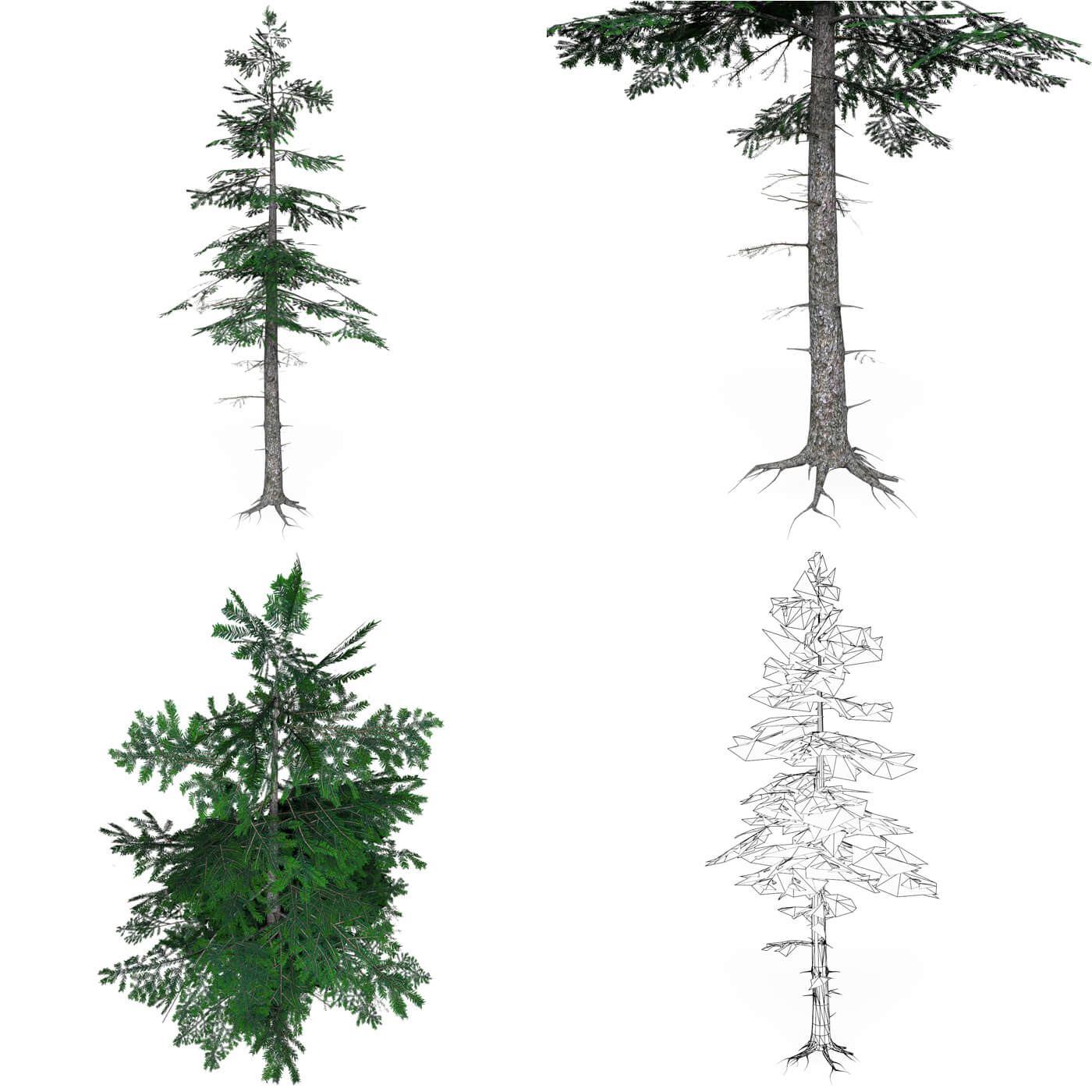 32 Realistic Low Poly Tree Collection - 3D Model by TreeWorld3d