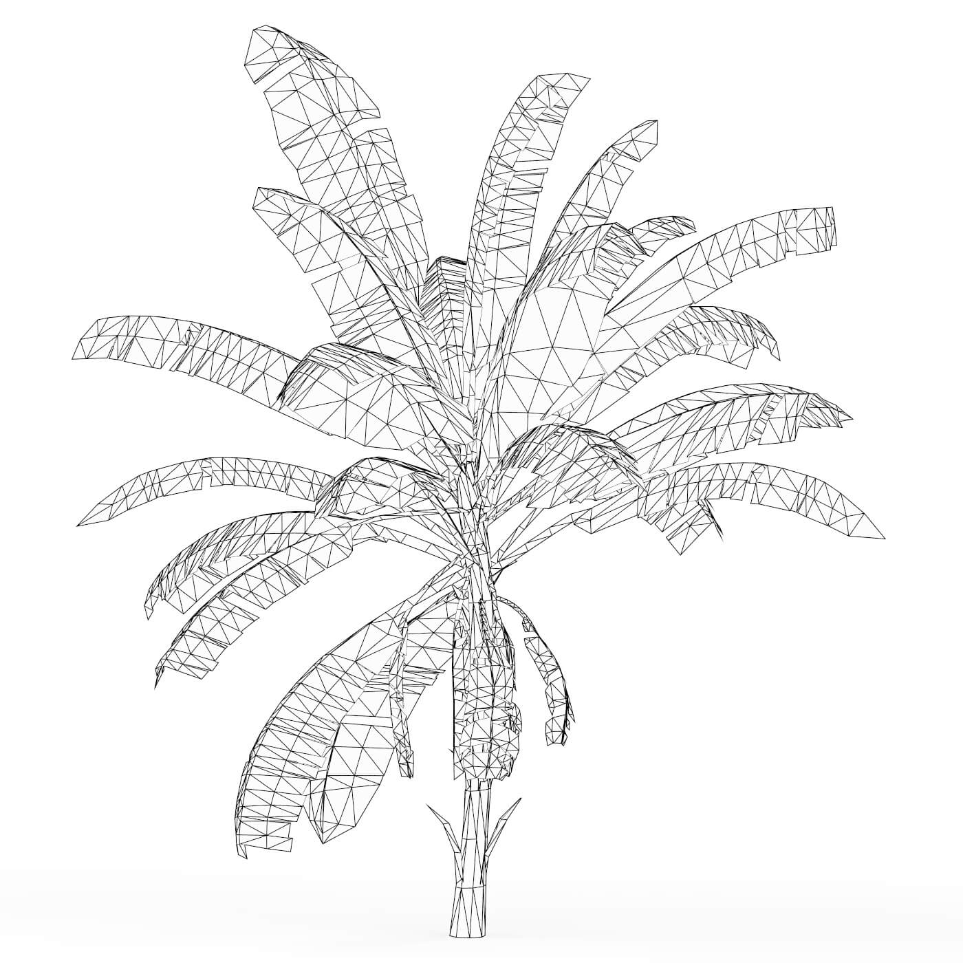 Banana Tree 03 - 3D Model by TreeWorld3d