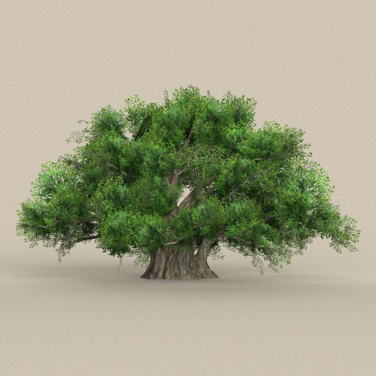 10 Tree Collection 02 - 3D Model by TreeWorld3d