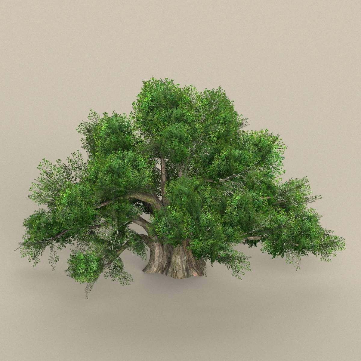 10 Tree Collection 02 - 3D Model by TreeWorld3d