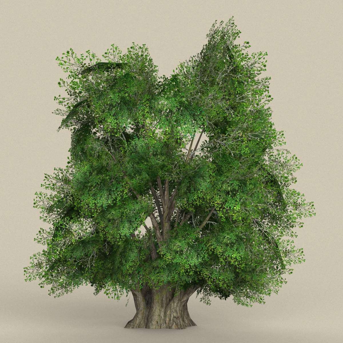 10 Tree Collection 02 - 3D Model by TreeWorld3d