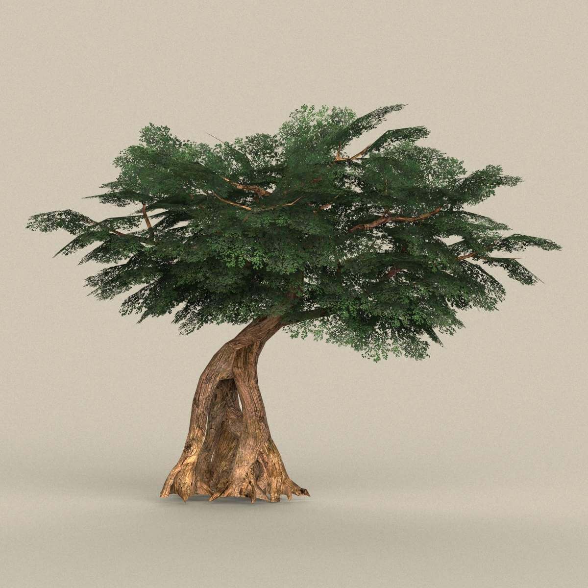 10 Tree Collection 02 - 3D Model by TreeWorld3d