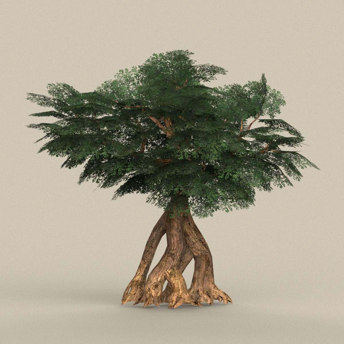 10 Tree Collection 02 - 3D Model by TreeWorld3d