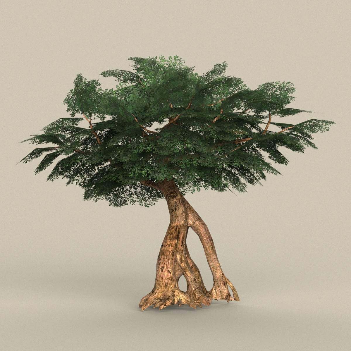 10 Tree Collection 02 - 3D Model by TreeWorld3d