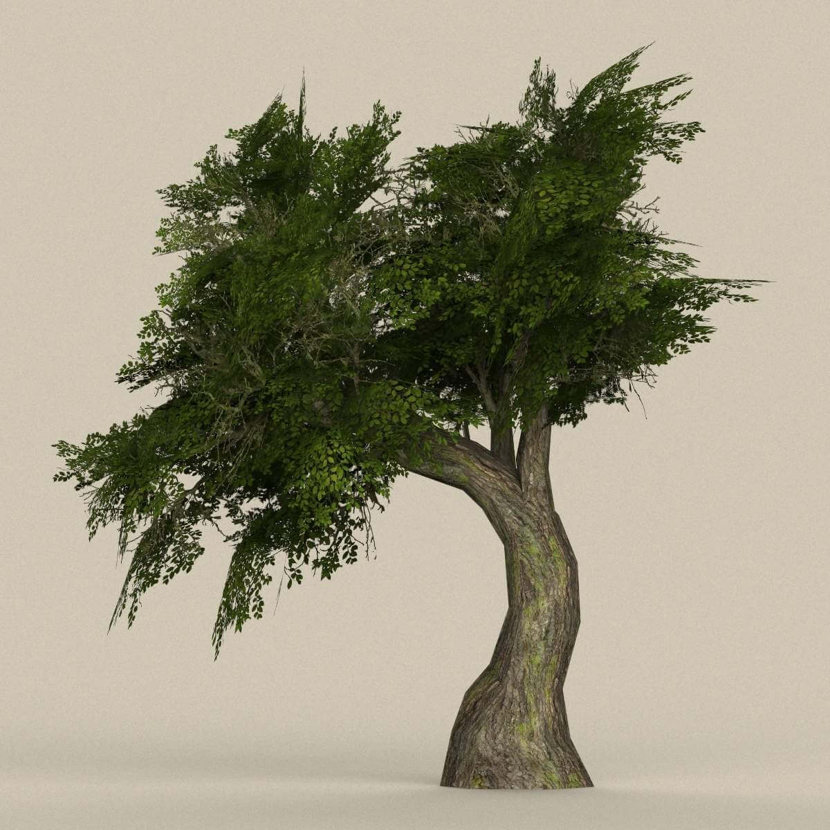 10 Tree Collection 02 - 3D Model by TreeWorld3d