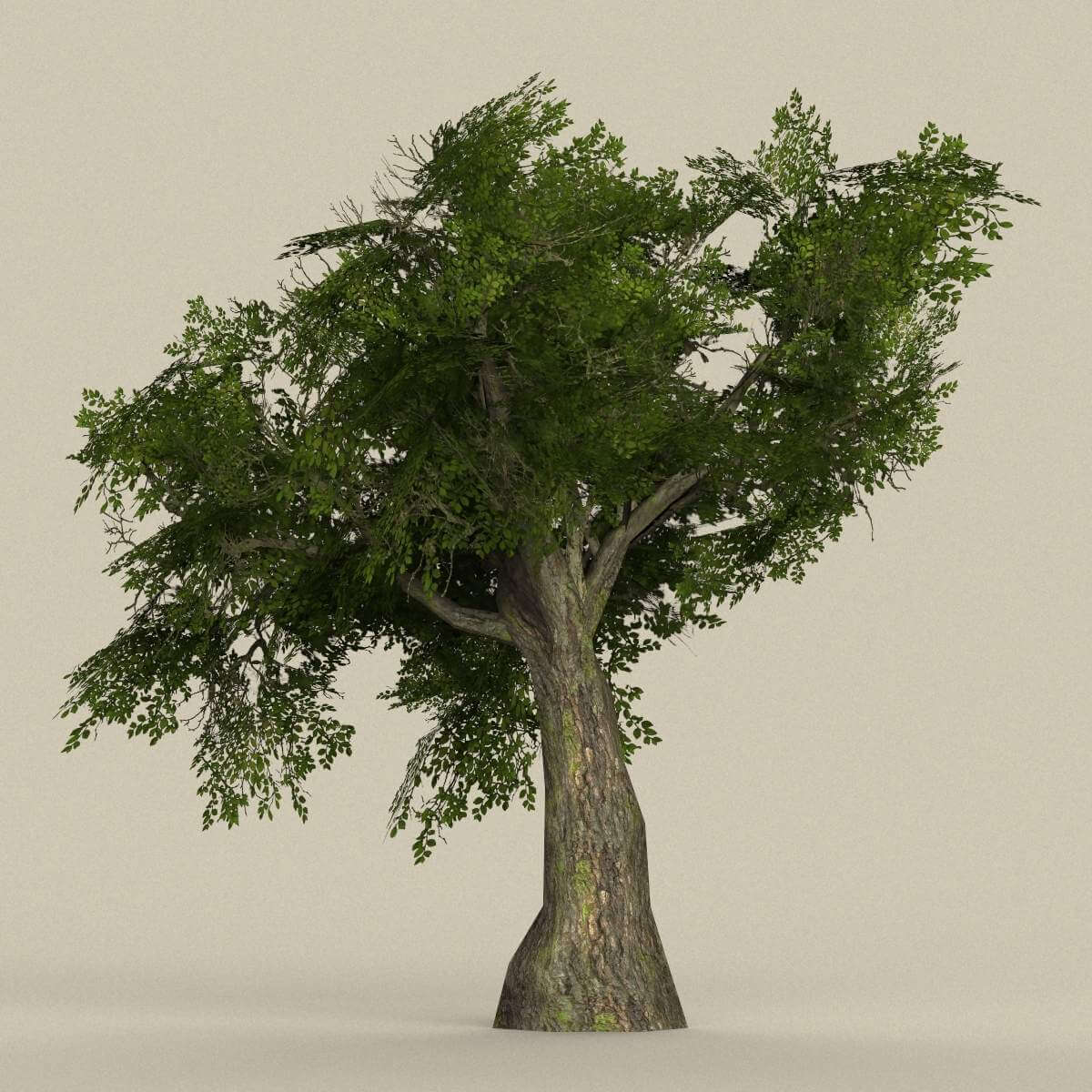 10 Tree Collection 02 - 3D Model by TreeWorld3d