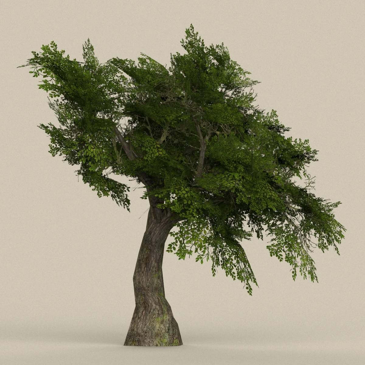 10 Tree Collection 02 - 3D Model by TreeWorld3d