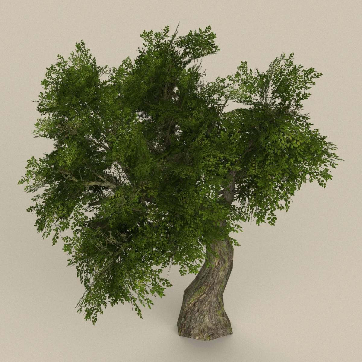 10 Tree Collection 02 - 3D Model by TreeWorld3d
