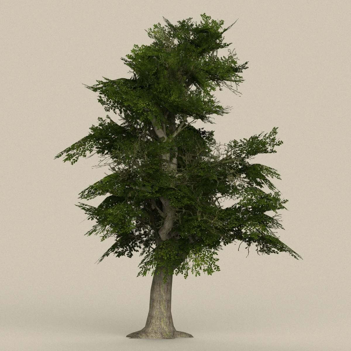 10 Tree Collection 02 - 3D Model by TreeWorld3d