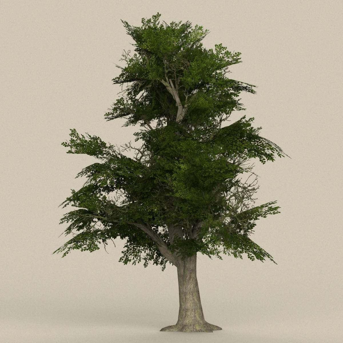 10 Tree Collection 02 - 3D Model by TreeWorld3d