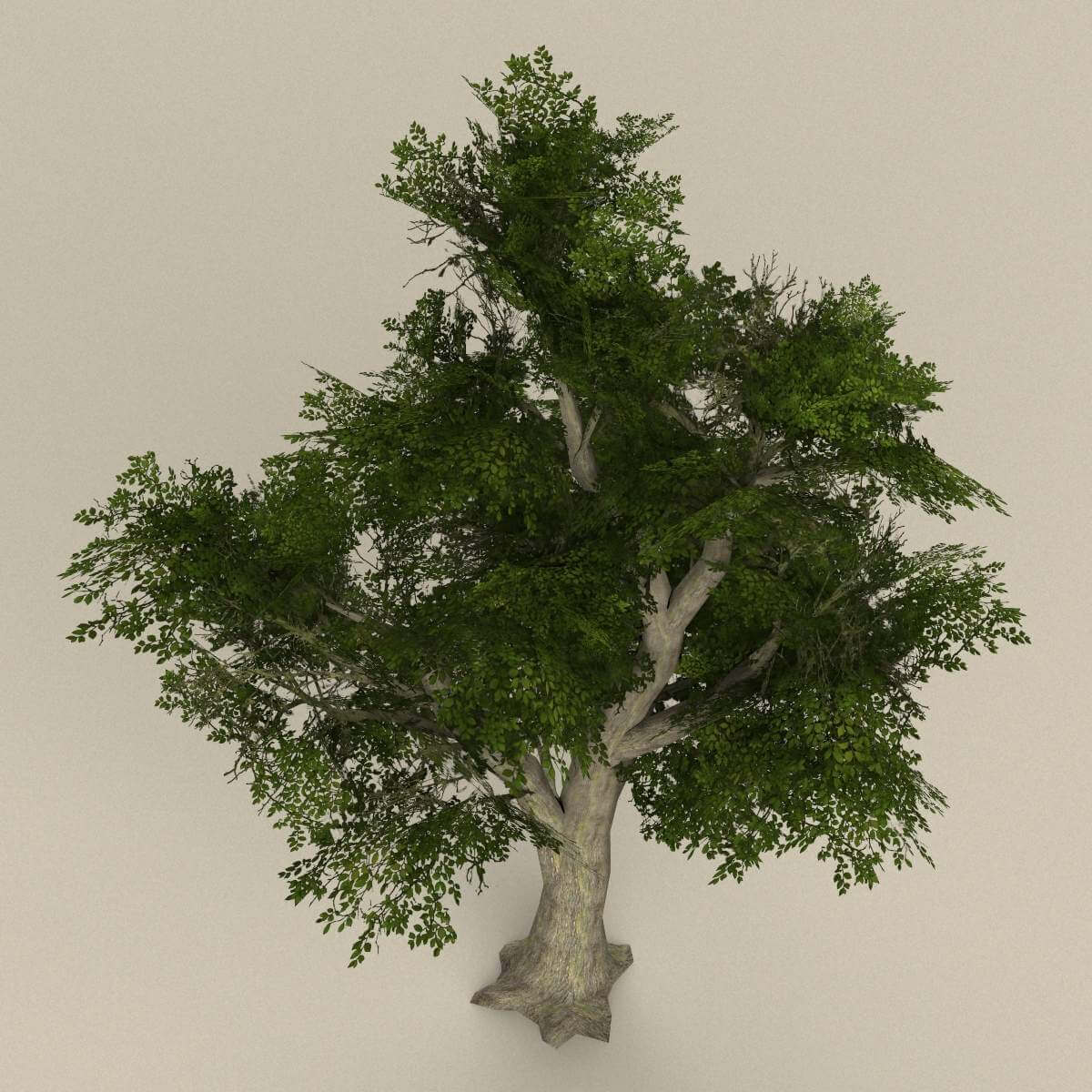 10 Tree Collection 02 - 3D Model by TreeWorld3d