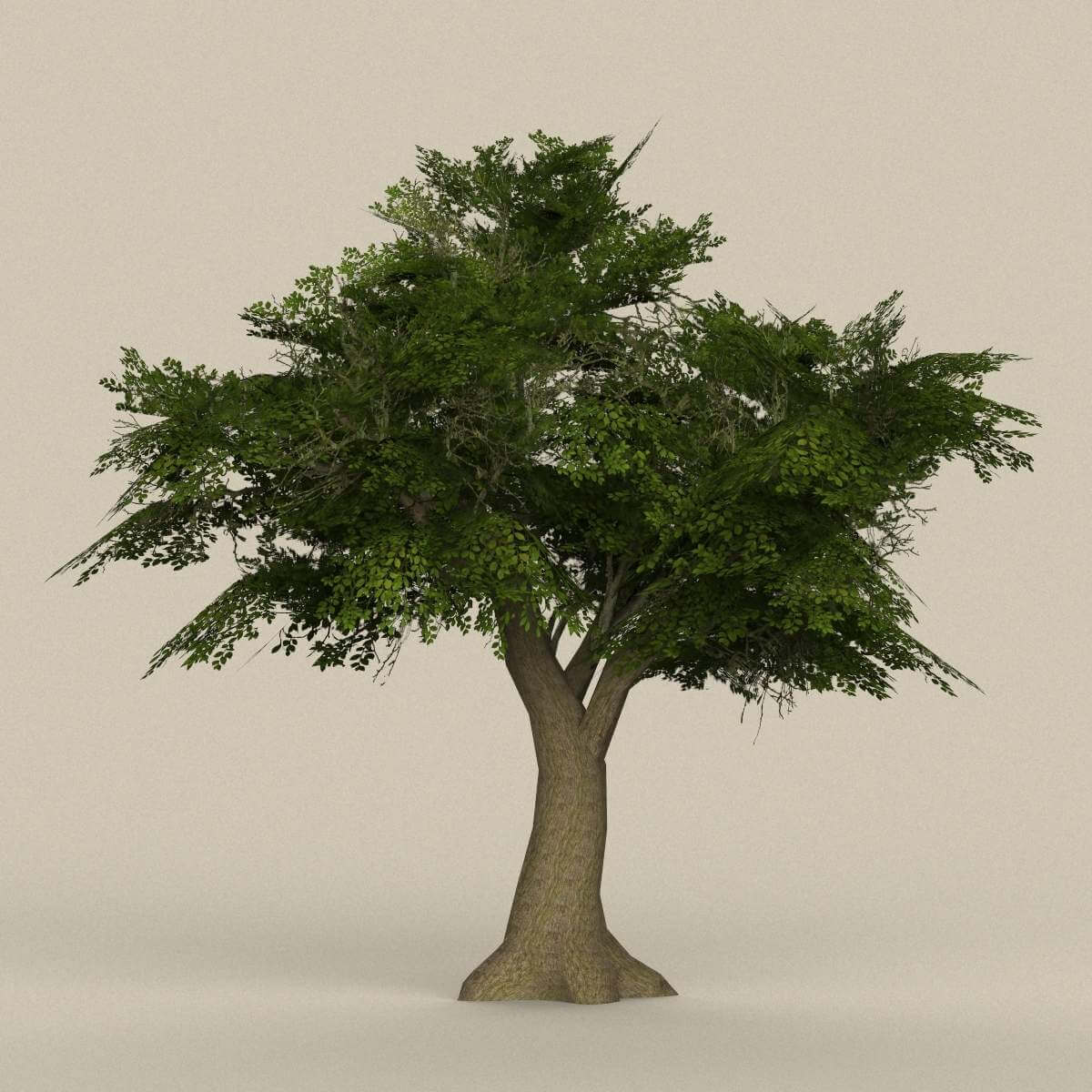 10 Tree Collection 02 - 3D Model by TreeWorld3d