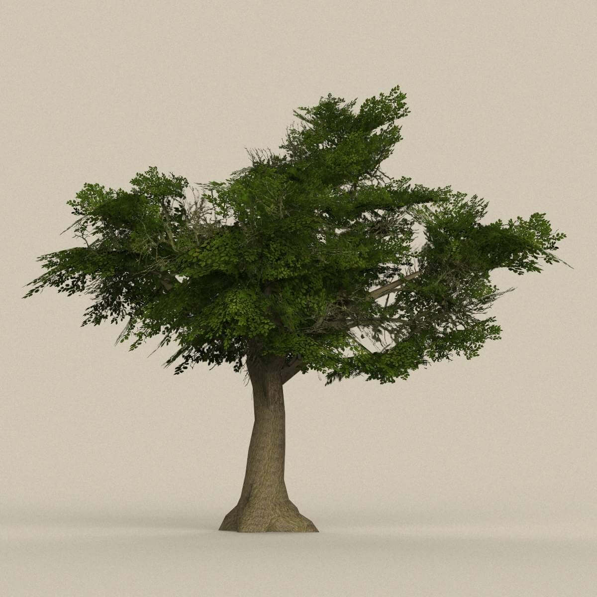 10 Tree Collection 02 - 3D Model by TreeWorld3d