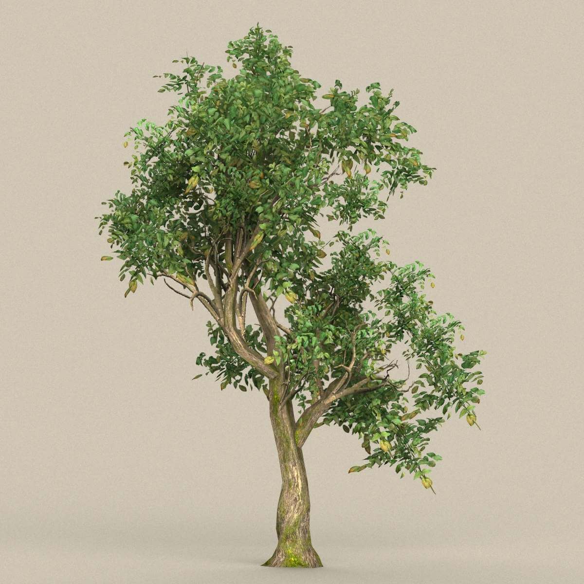 10 Tree Collection 02 - 3D Model by TreeWorld3d