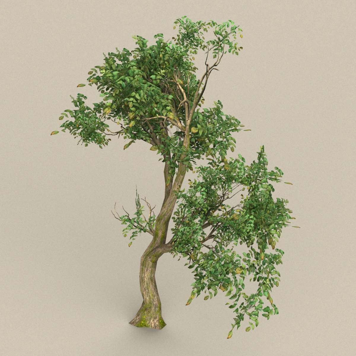 10 Tree Collection 02 - 3D Model by TreeWorld3d