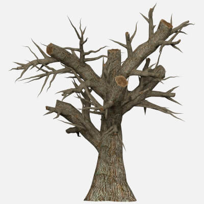 Game Ready Dead Tree 02 - 3D Model by TreeWorld3d