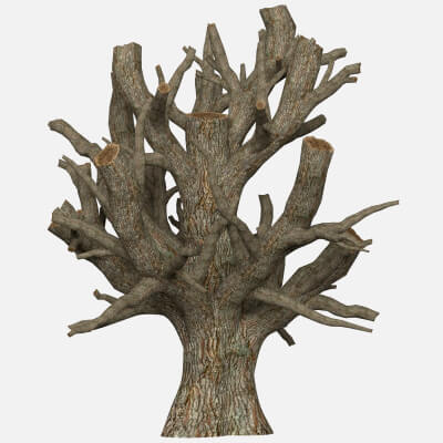 Game Ready Tree 50 - 3D Model by TreeWorld3d