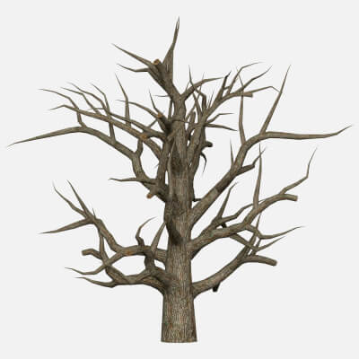 Game Ready Dead Tree 05 - 3D Model by TreeWorld3d