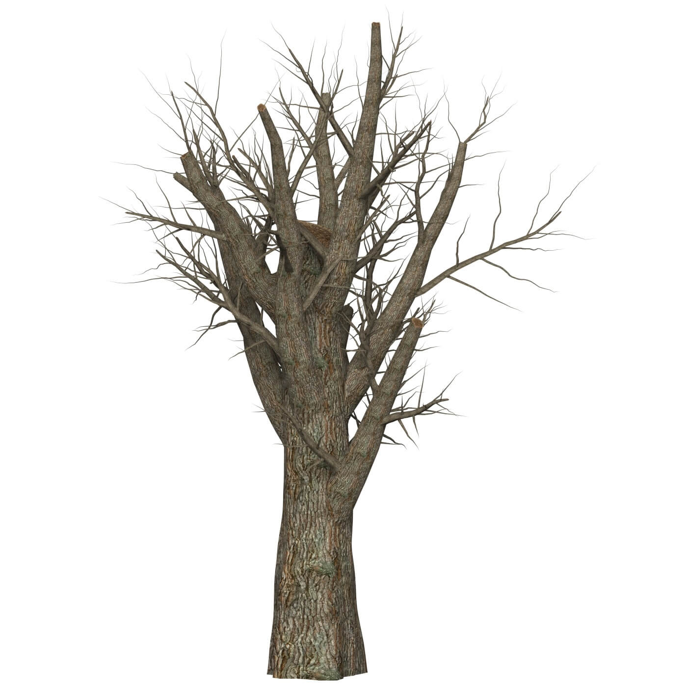Game Ready Dead Tree 07 - 3D Model by TreeWorld3d