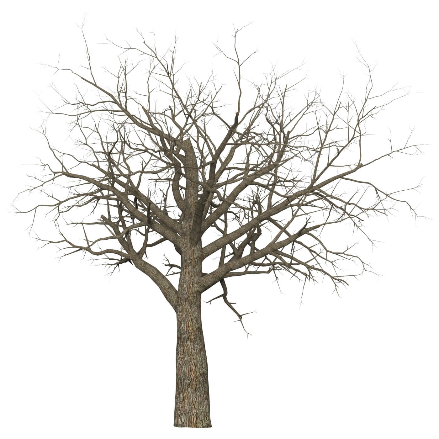 Game Ready Dead Tree 08 - 3D Model by TreeWorld3d