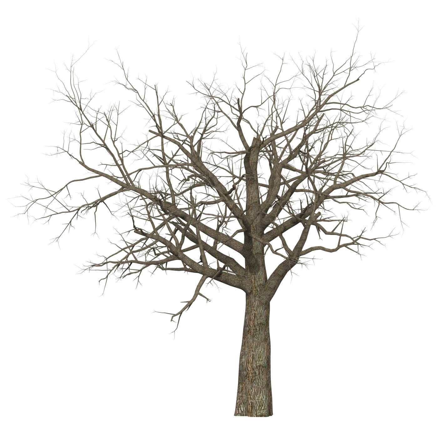 Game Ready Dead Tree 08 - 3D Model by TreeWorld3d