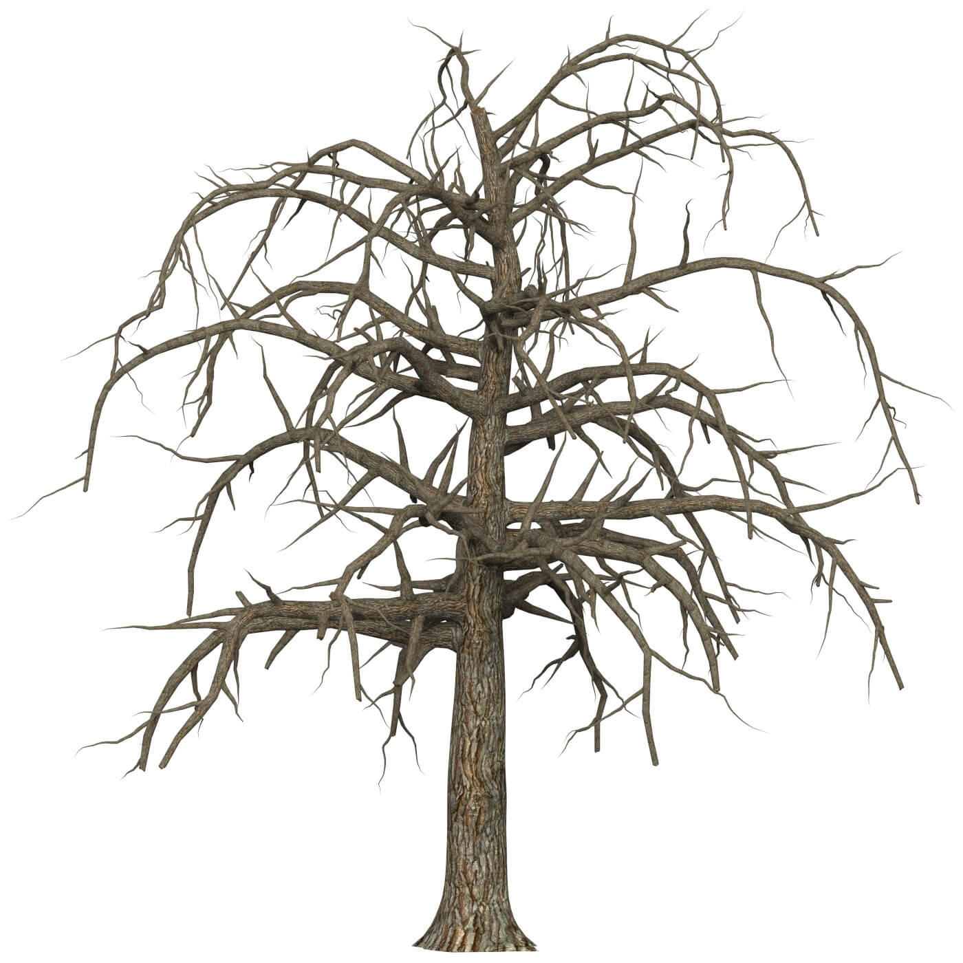 Game Ready Dead Tree 09 - 3D Model by TreeWorld3d