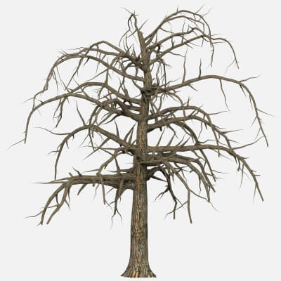Game Ready Dead Tree 09 - 3D Model by TreeWorld3d