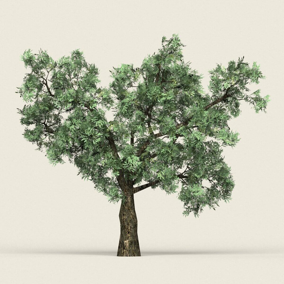Forest Tree 20 - 3D Model by TreeWorld3d