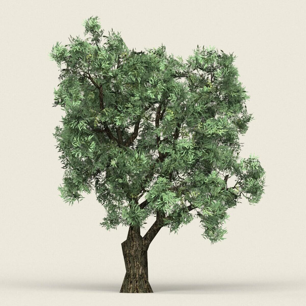 Forest Tree 20 - 3D Model by TreeWorld3d